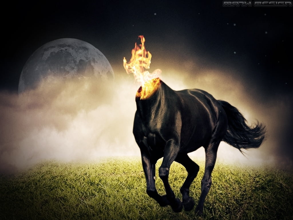 Fantasia De Mula Sem Cabeça - LIBRAIN