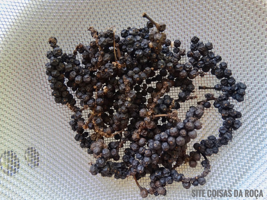 Você sabe como preparar a pimenta do reino?