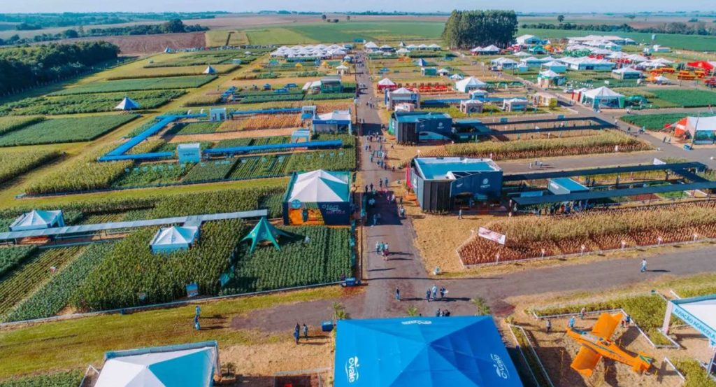 O que é rizicultura