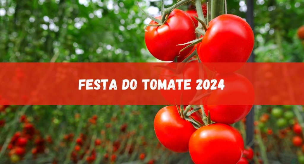Festa do Tomate 2024: veja os shows confirmados