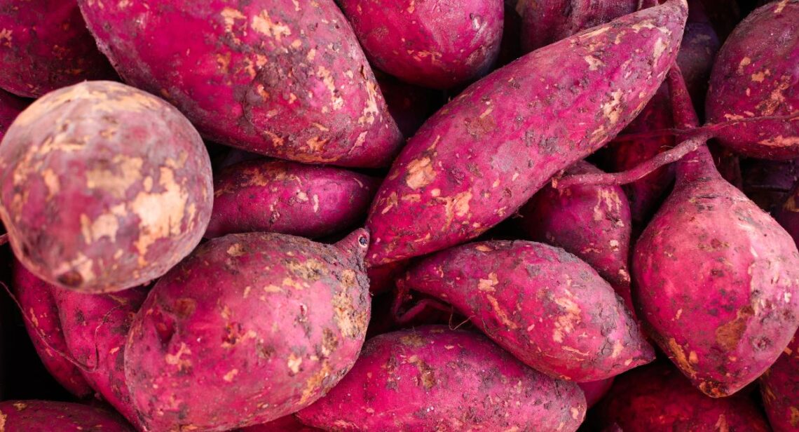 Benefícios da Batata Doce Roxa: confira quais são