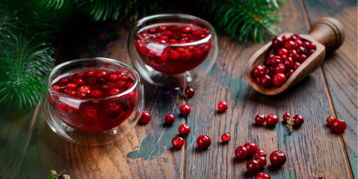Os incríveis benefícios do Cranberry para a saúde e como consumi-lo